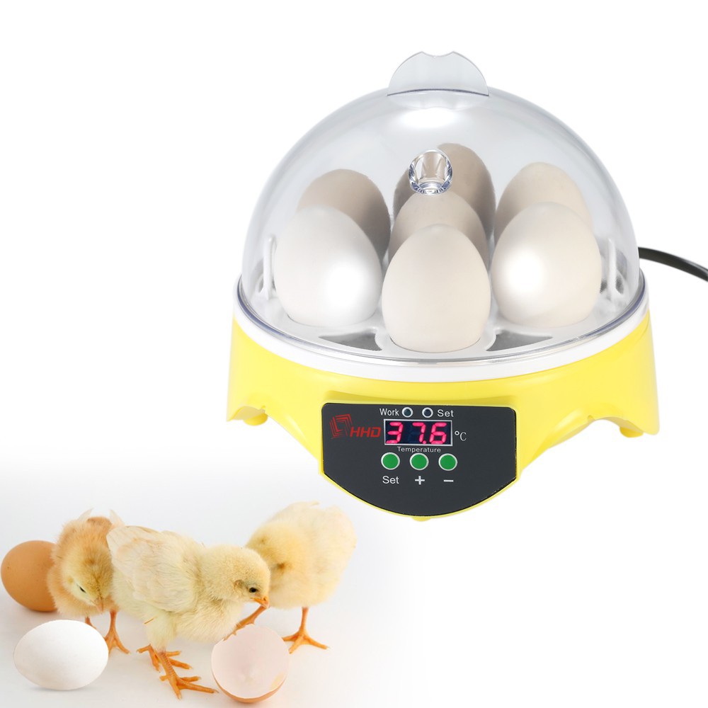 New 7 Eggs Mini Digital Egg Incubator Hatcher Automatic Temperature ...