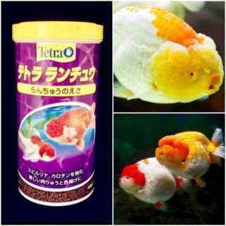 Tetra ranchu food 580g | Shopee Malaysia