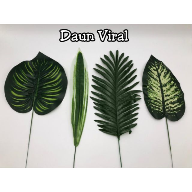 Daun Daun Viral (4 types latest) | Shopee Malaysia