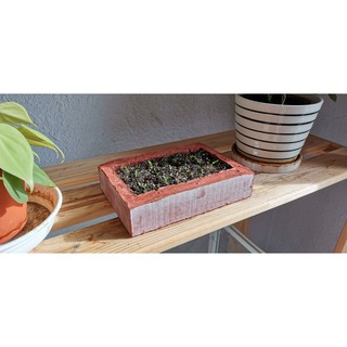 Colour Cement (Simen warna,) cement merah/ biru/hitam/kuning/putih ...