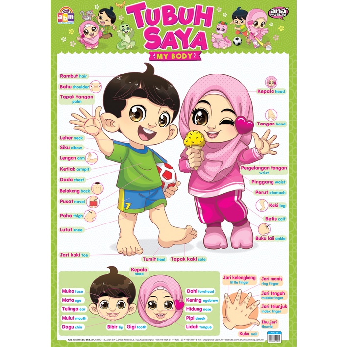 Poster membaca ana muslim - Tubuh Saya - alat bantuan mengajar poster ...
