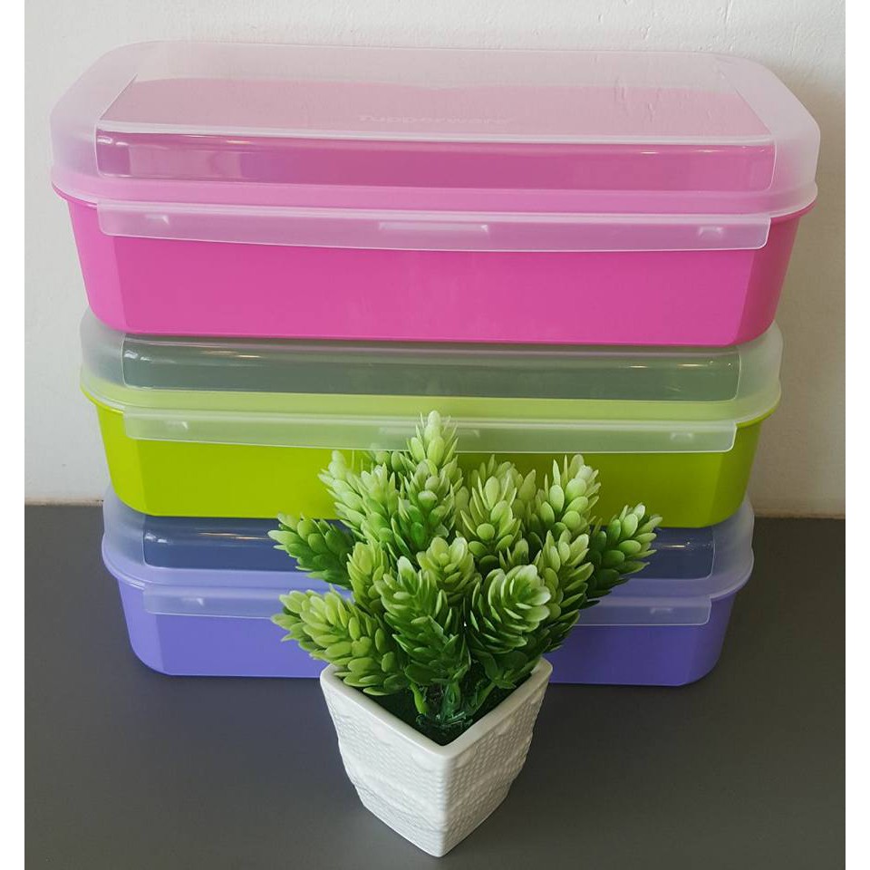 Tupperware Handy Signature Line Rectangular 980 ml Food container ...