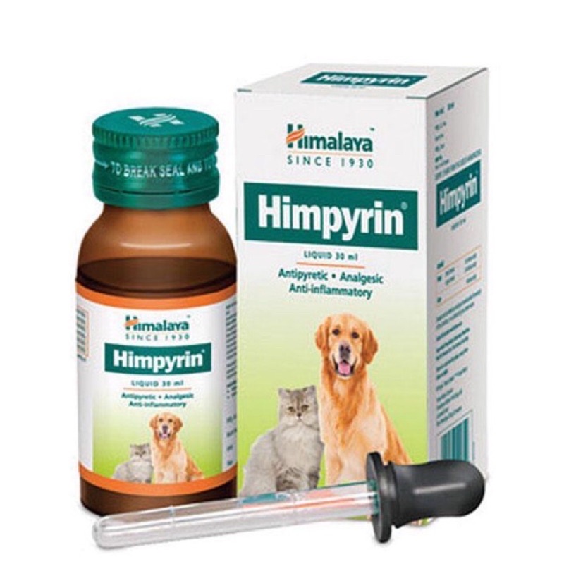 How Do You Treat A Fever In A Dog