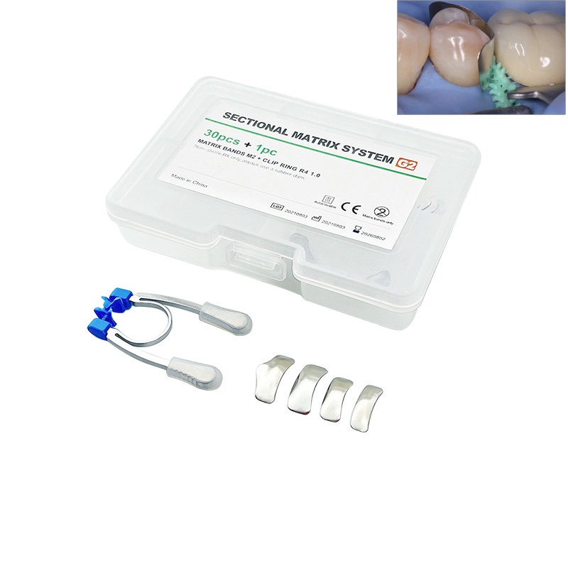 Dental Sectional Matrix System 30pcs Dental Sectional Matrix Band with ...
