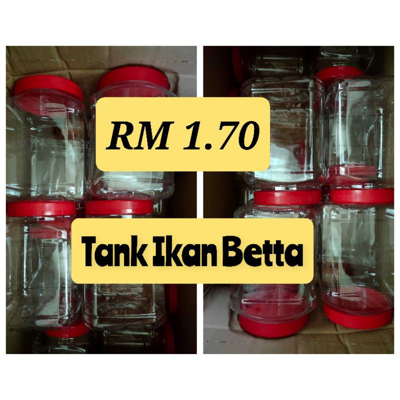 Tank Ikan Laga, Bekas ikan laga, guppy, karin, cupang, aquarium, bekas ...