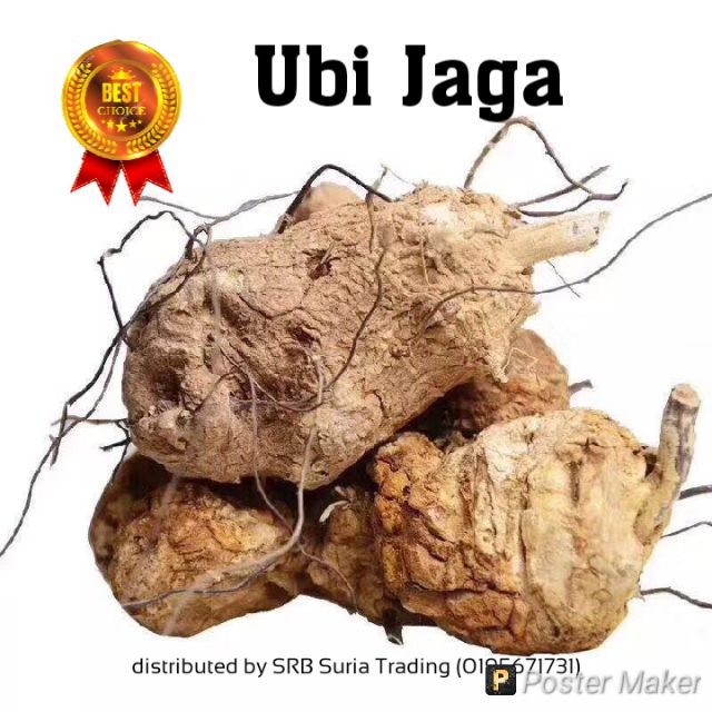Ubi Jaga for Health 100g/500g | Shopee Malaysia