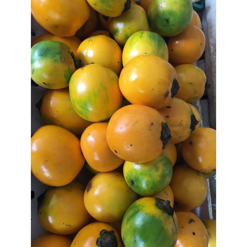 Terong_Asam(Sarawak) | Shopee Malaysia