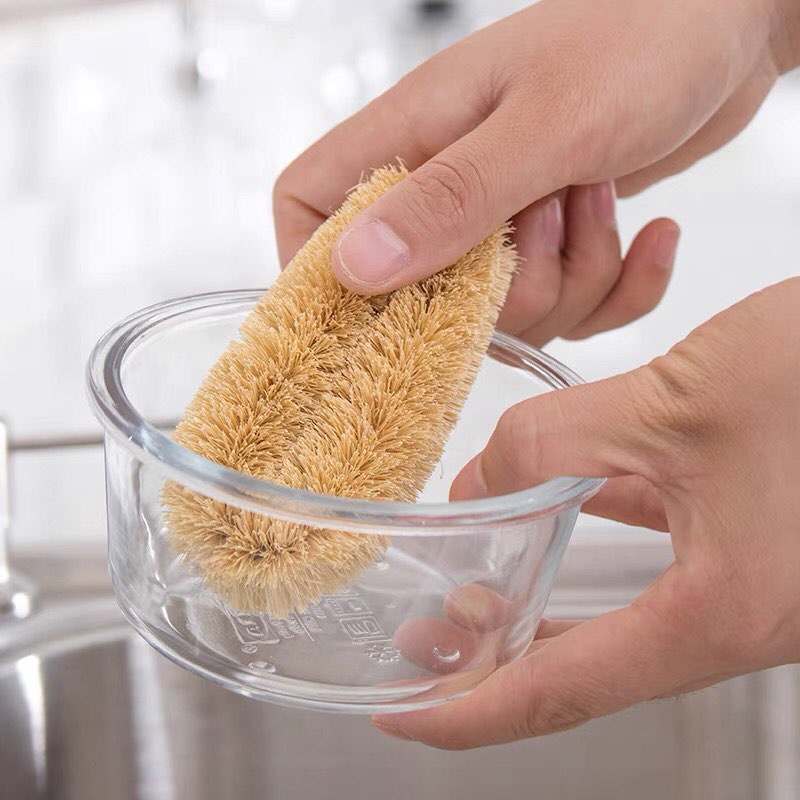 COCO BRUSH Rayaco 3" 4" 6" 8" High Quality White Coco Brush 刷子 白棕刷 ...