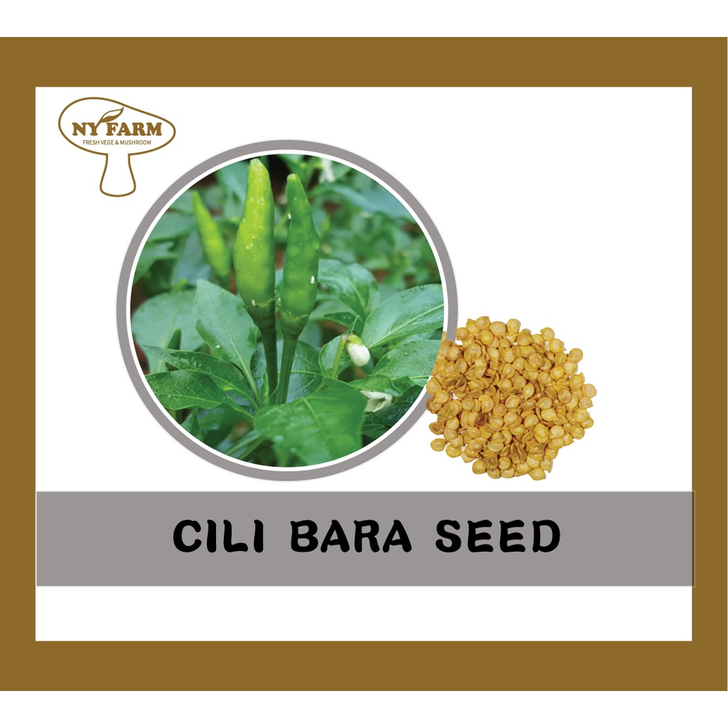 Cili Bara/Cili Kampung Seed (10 seeds) | Shopee Malaysia