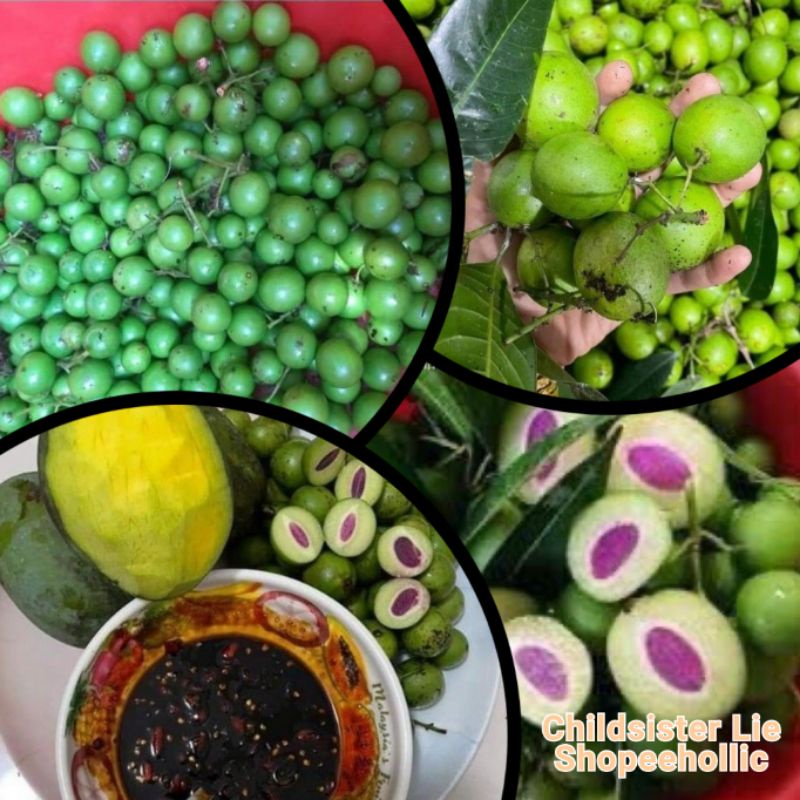 Buah Kundang Muda