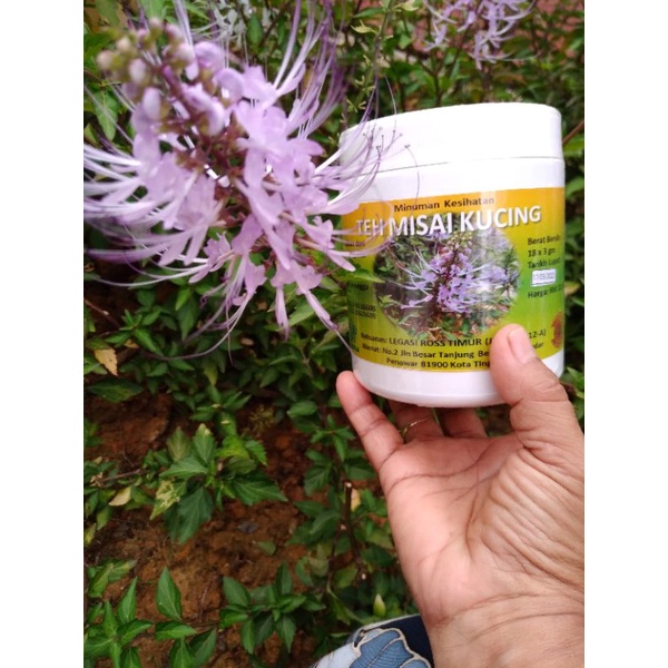 Minuman Teh Misai kucing | Shopee Malaysia