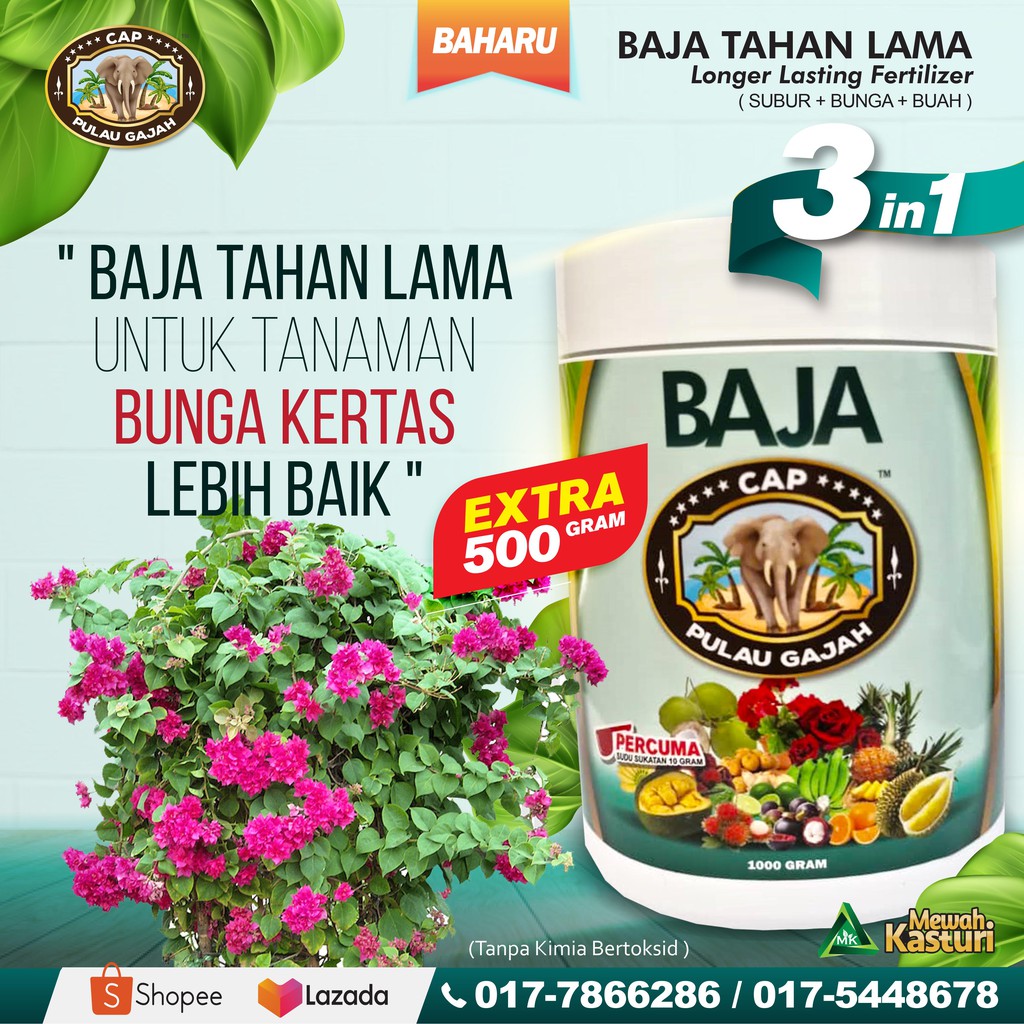 BAJA POKOK BUNGA KERTAS DAN BUNGA HIASAN 13Sumber Nutrein Semulajadi in ...