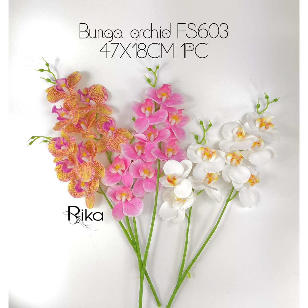 Bunga real orchid FS603 47cm 1pc | Shopee Malaysia