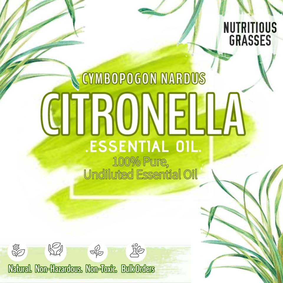 Citronella Ceylon Essential Oil 100%PURE and Nature (Ready Stock ...