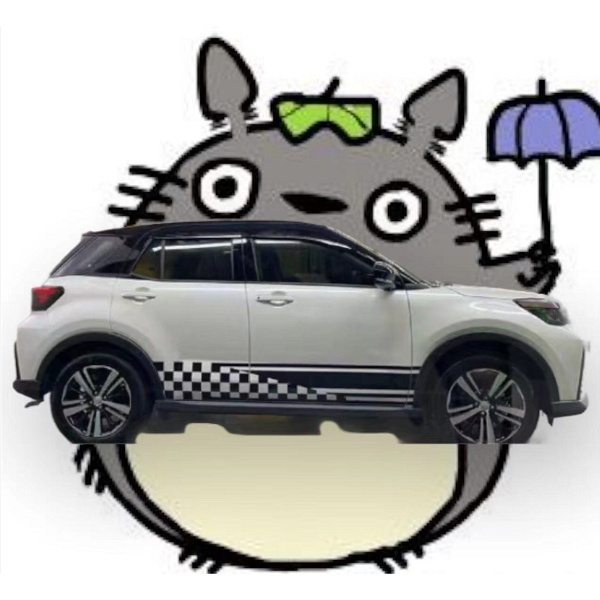 Perodua Ativa SIDE BODY STICKER Racing Performance 1 set 2 PCS | Shopee ...