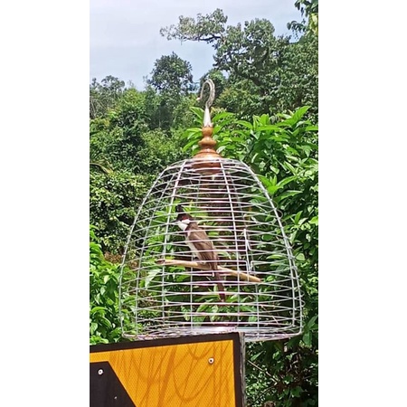 Sangkar serindit/puling/merbah stainless steel (handmade) | Shopee Malaysia