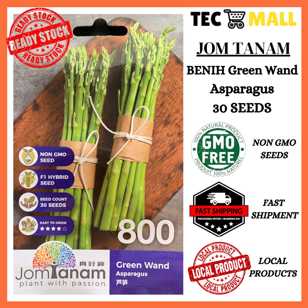 (Ready Stock)Jom Tanam Benih Asparagus Green Wand (芦笋) / Benih ...