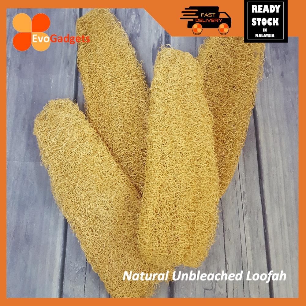 Natural Luffa / Loofah - Skin care / Cleaning exfoliating / Bowl ...