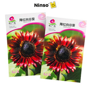 Ninso Official Store, Online Shop | Shopee Malaysia