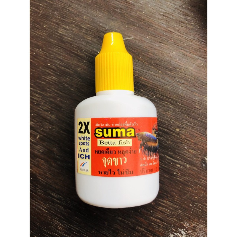 Suma white sports and Ich (made in thailand) | Shopee Malaysia