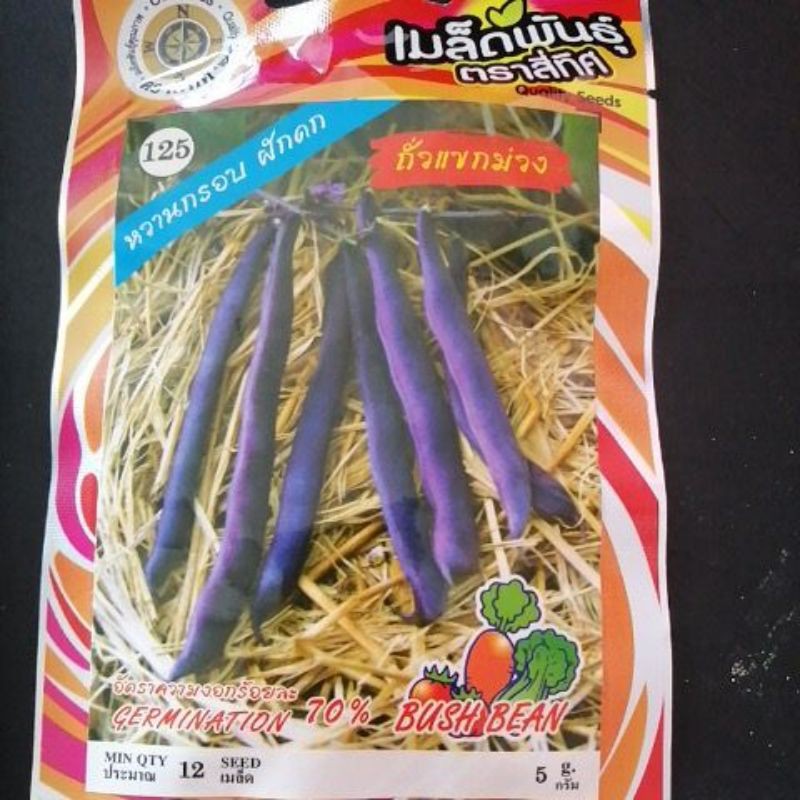 Benih kacang bush bean dari thailand | Shopee Malaysia