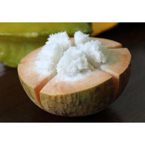 Pokok Buah Sentul Madu | Shopee Malaysia