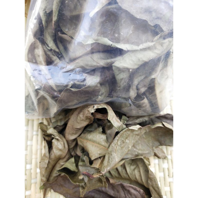 Daun Bungkang Borneo Daun Bungkang Iban/ Daun Salam 40 gm | Shopee Malaysia