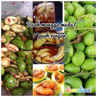 1 KG BUAH MANGGA MUDA /BUAH PAUH RINGAN RANGGUP KRUK KRAK (1 KILO ...