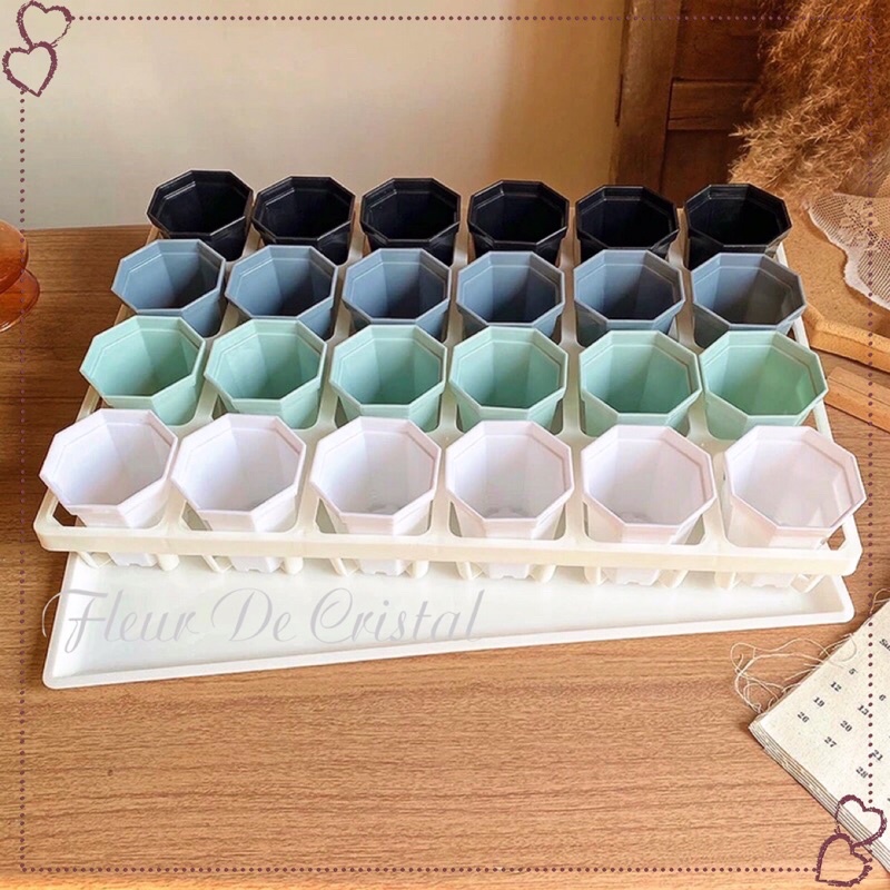 FDC - Octagon Design Durable Plastic Flower Pot | Pasu Mini Succulent ...