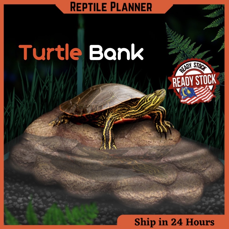 Turtle Basking Platform Tortoise Ramp Reptile Tank Ladder Resting