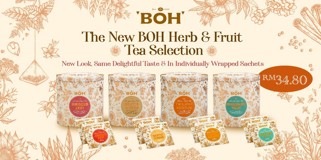 BOH Tea Online, November 2022 | Shopee Malaysia
