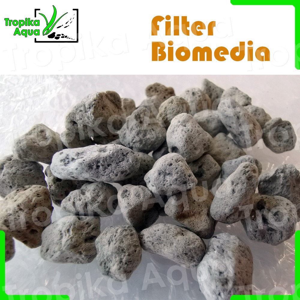 Pumice Stone 1L Filter Biomedia Aquarium like Seachem Matrix fish ...