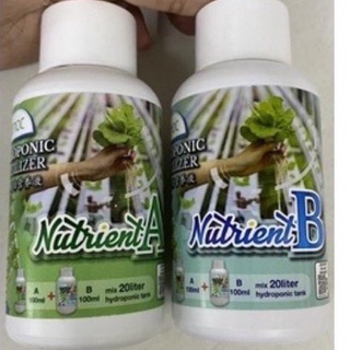 1pack 5 seeds Dutch cucumber timun belanda buah kecik rangup dan ...