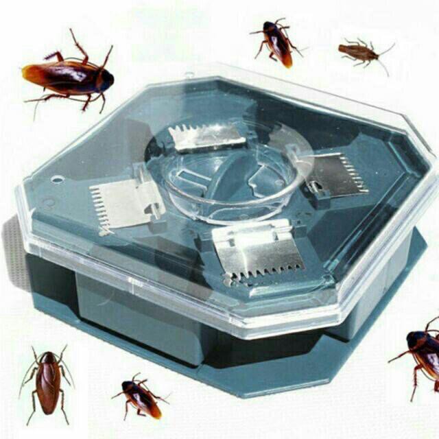 Perangkap Lipas - Reusable Cockroach Trap | Shopee Malaysia
