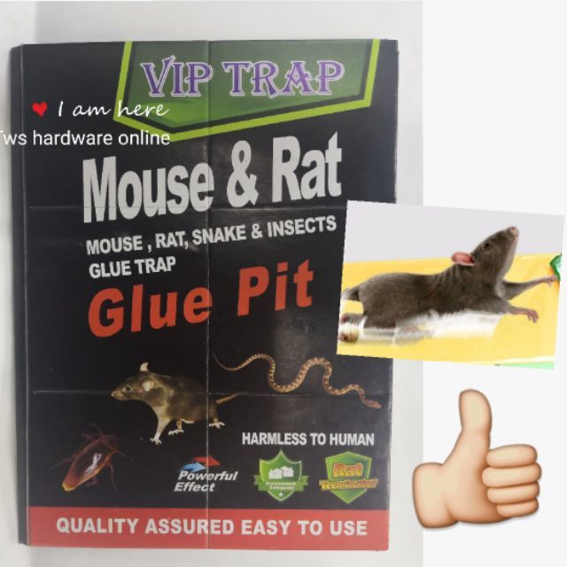 Big Size mouse Catcher Trap Super Glue Rat🐀Gum Tikus Size Besar Mouse ...