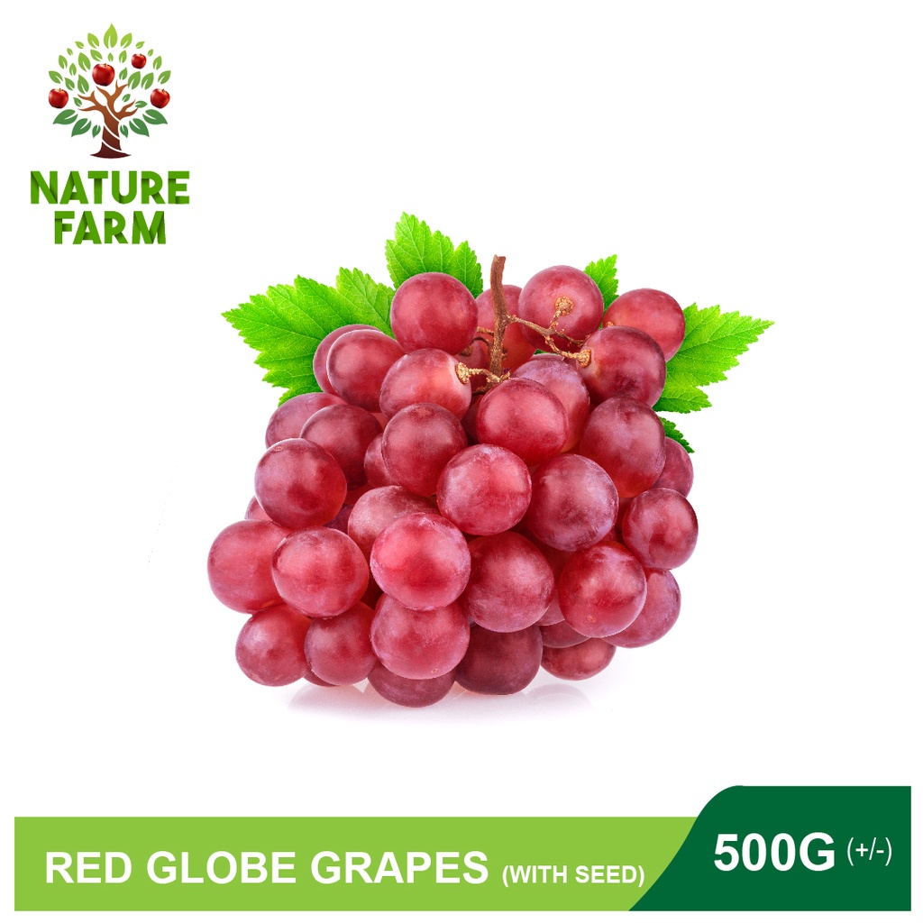Nature Farm Grape Red Globe with Seed /Glob Merah Anggur (500G+-/PKT ...