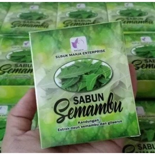Sabun Semambu herba daun semambu Sembuhkan gatal HFMD, ChickenPox, ubat ...