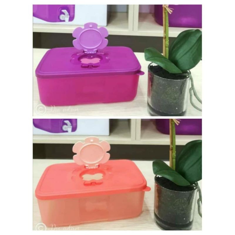Tupperware Tissue Box 350ml | Shopee Malaysia