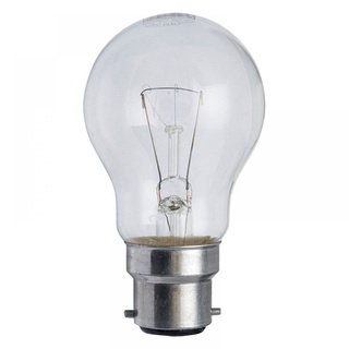 Chiyoda PS-60 Incandescent Light Bulb B22 (Clear / Frosted) 25W / 40W ...