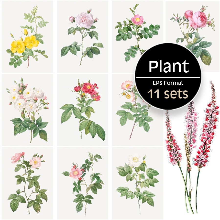 Plant Design Template Bundle Pack / Flower / Hand Drawn Illustration ...