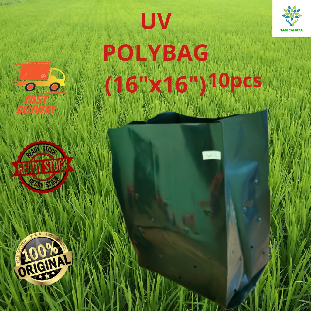 10pcs 16x16 Polybag Polibag Hitam Tebal Nursery Plantation Bag Biji ...