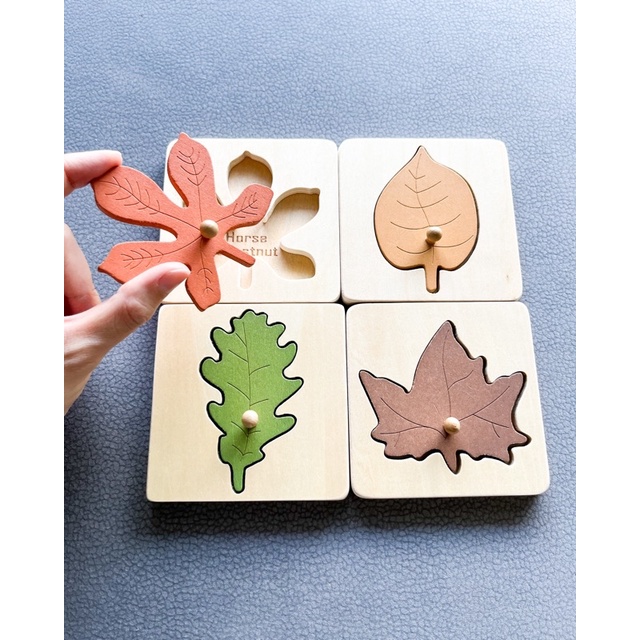 [Ready stock] Montessori wooden leaf puzzle (children/learning/ simple ...