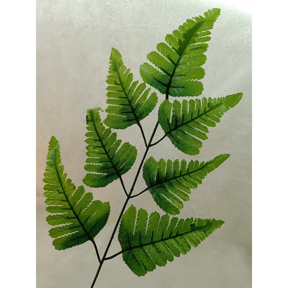 Artificial Paku Pakis /Doz / Daun Paku Pakis Tiruan /Doz | Shopee Malaysia