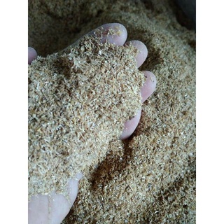 Dedak padi kasar / coarse rice bran untuk makanan ternakan 1kg | Shopee ...