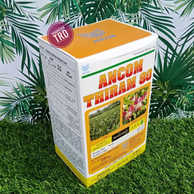 1 Kotak 1 Kg ANCOM THIRAM 80 Serbuk Racun Kulat / Fungicide / Thiram ...
