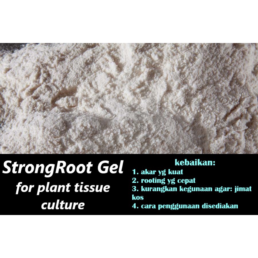 500g StrongRoot Gel for stronger root in plant tissue culture/ lower the cost of agar / kultur ...