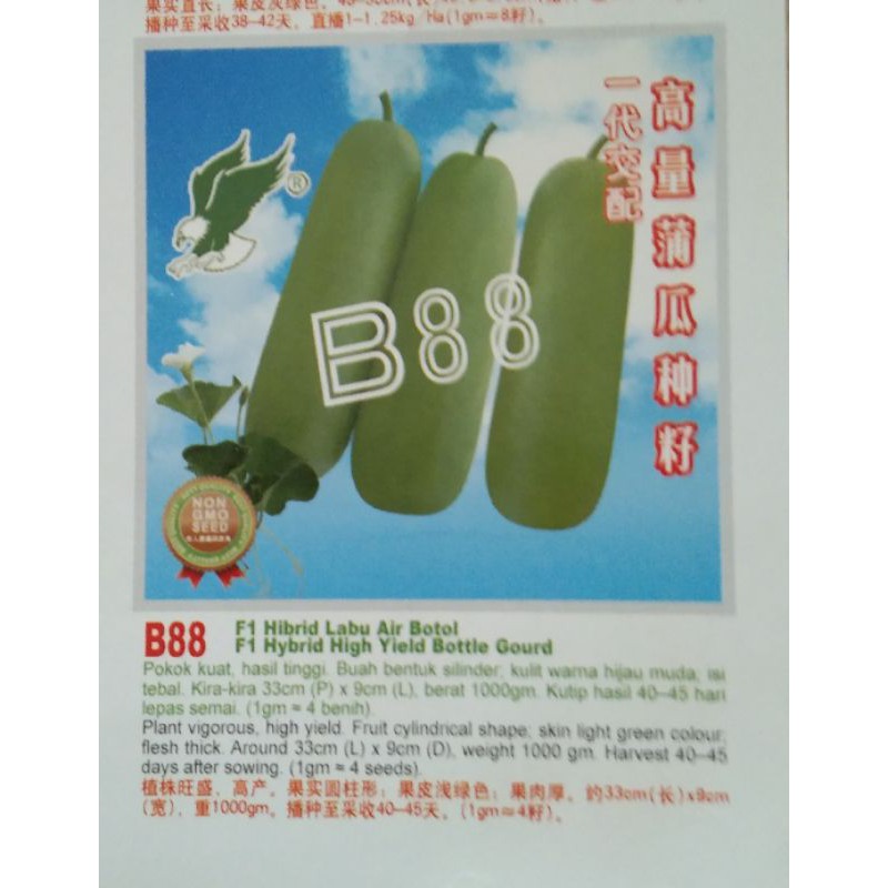 biji benih sayur /vegetable seed -- F1 hybrid Labu air Botol | Shopee ...