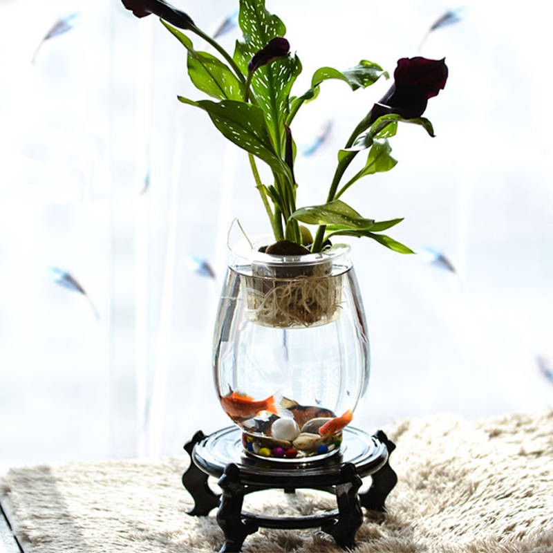 Akuarium Kreatif Ecologice Round Glass Gold Fish Tank Silinder Penyu ...