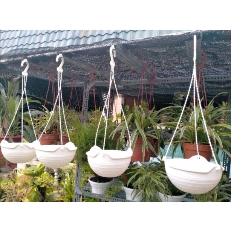 Pasu bunga murah/Pasu Gantung Putih/Pasu bunga | Shopee Malaysia