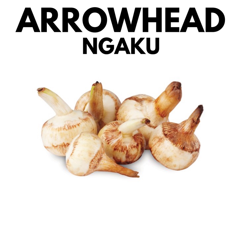Arrowhead Fresh Ngaku 1kg | Shopee Malaysia